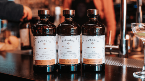 Cordials pour boissons et cocktails par MONIN | PARAGON