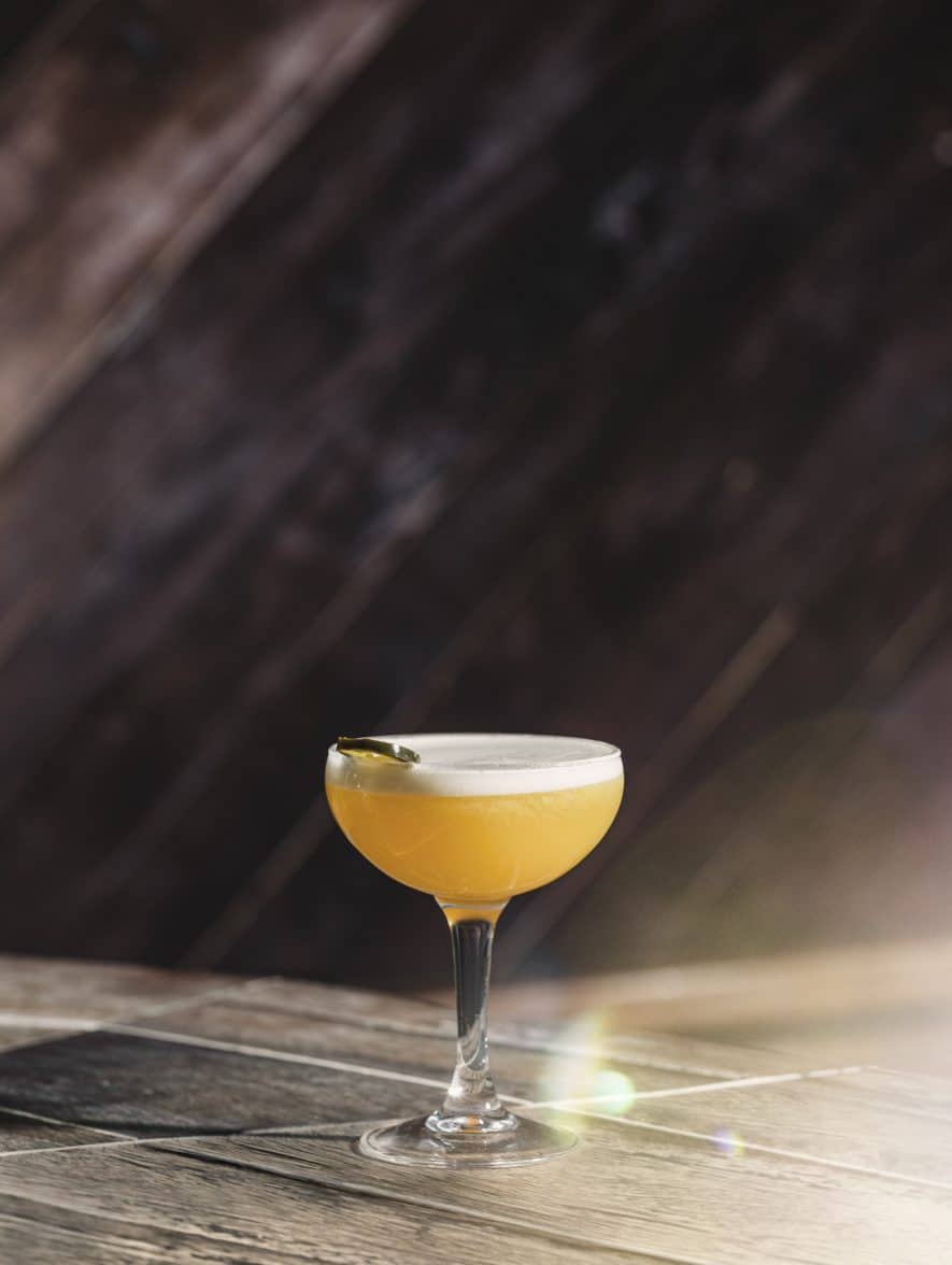 Rue berry - Paragon Cordial