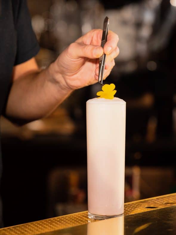 Rue berry - Paragon Cordial