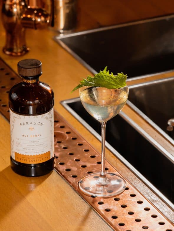 Rue berry - Paragon Cordial