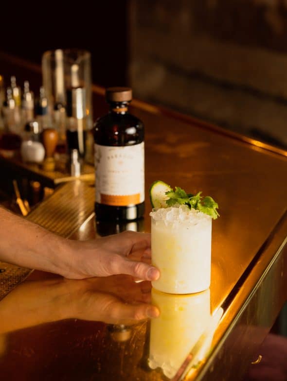 Timur Berry - Paragon Cordial