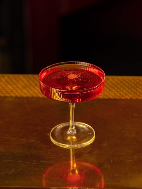 Timur Berry - Paragon Cordial