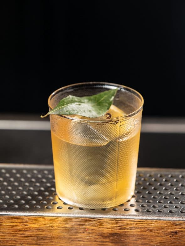 Timur Berry - Paragon Cordial