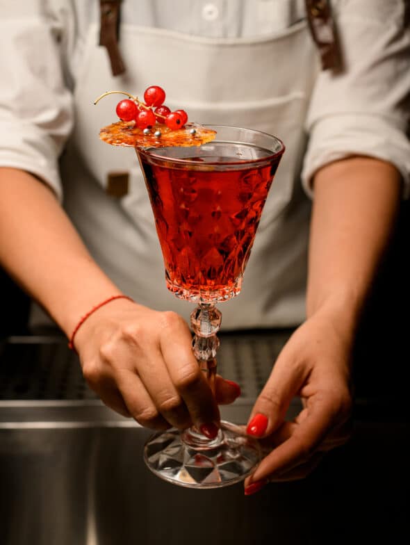 Timur Berry - Paragon Cordial