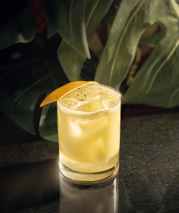 Timur Berry - Paragon Cordial