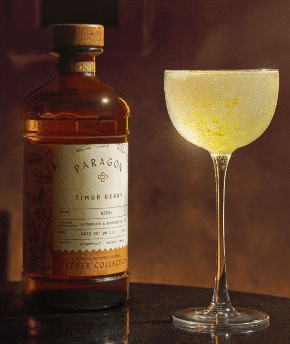 Timur Berry - Paragon Cordial