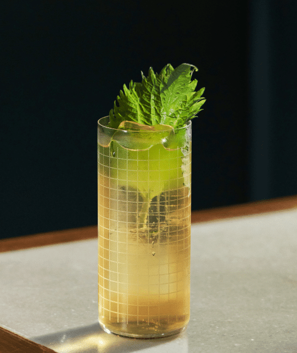 Cocktails - Paragon Cordial